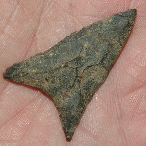 Artifacts Guide- Star Trek Yadkin